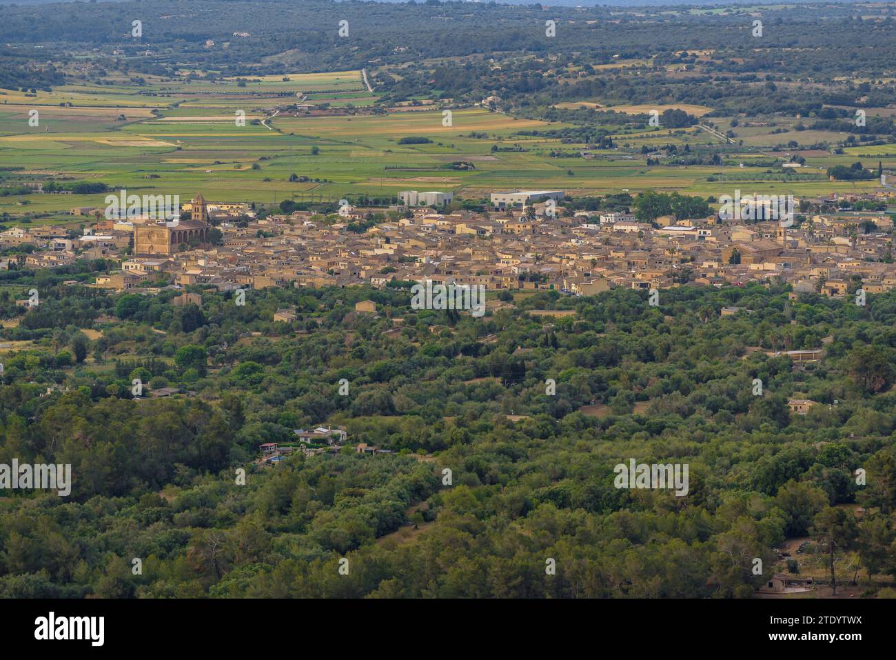 Viajar a petra hi-res stock photography and images - Alamy