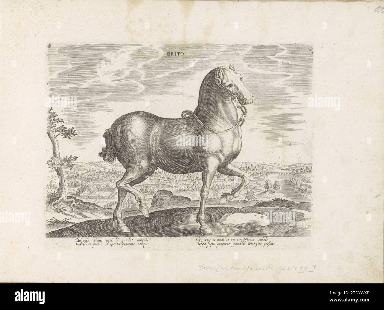 1624 1648 hi-res stock photography and images - Alamy