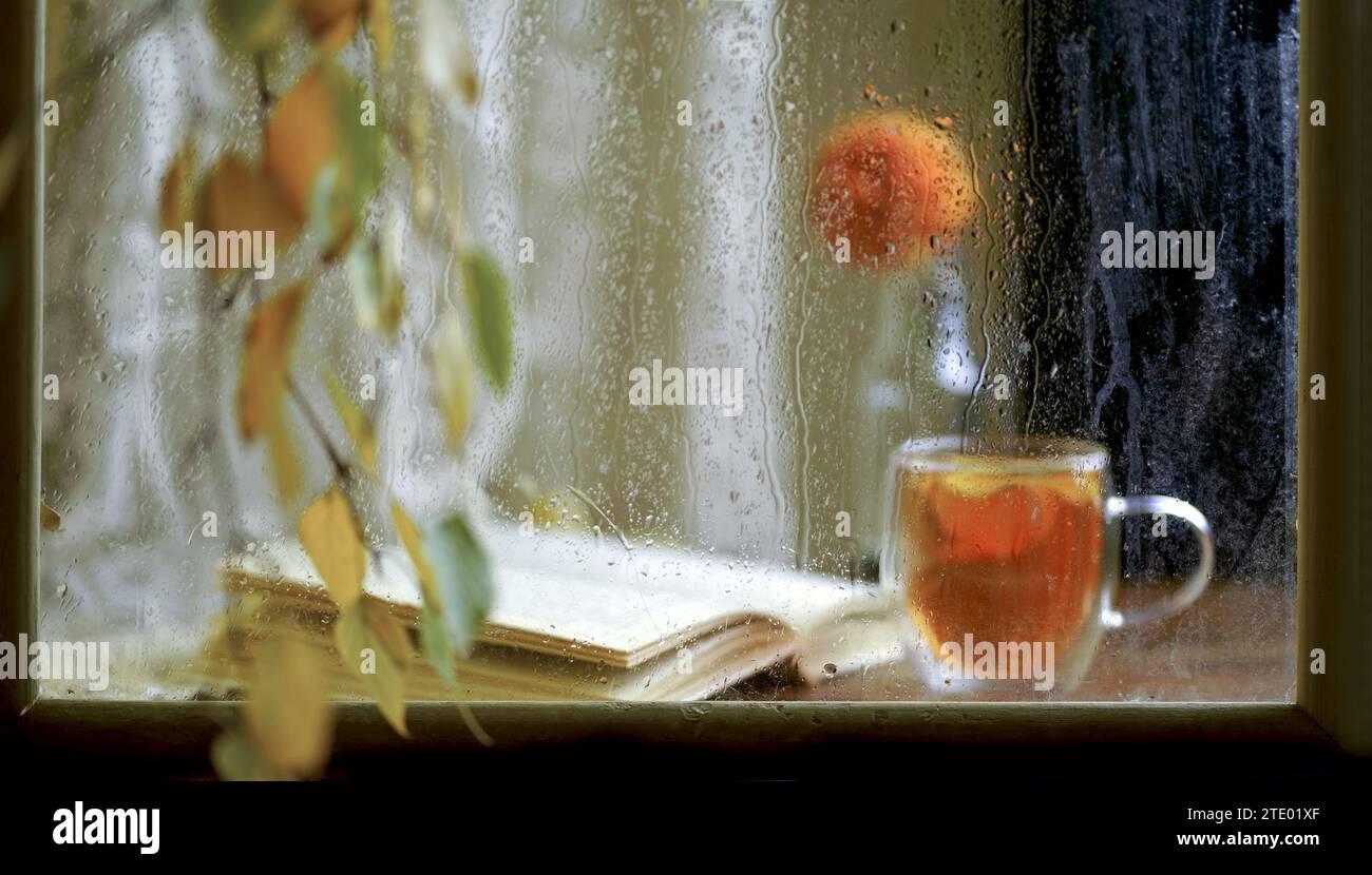 Outside the window, drops of rain flow down the glass. A cup of hot tea ...