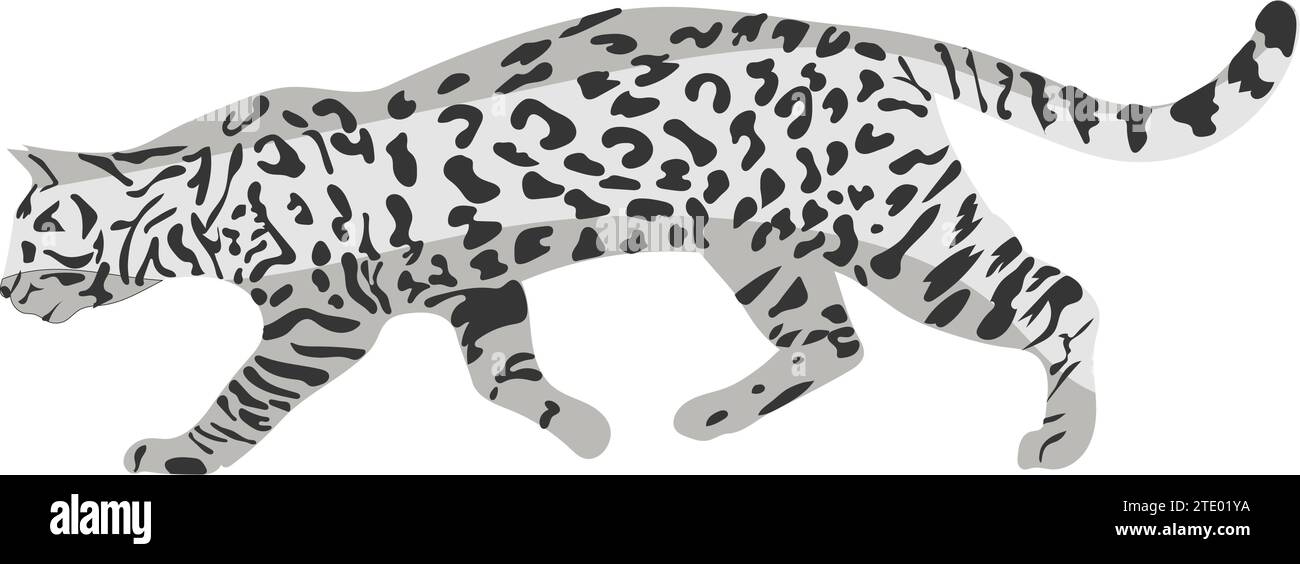 Side view gray cat Cut Out Stock Images & Pictures - Alamy