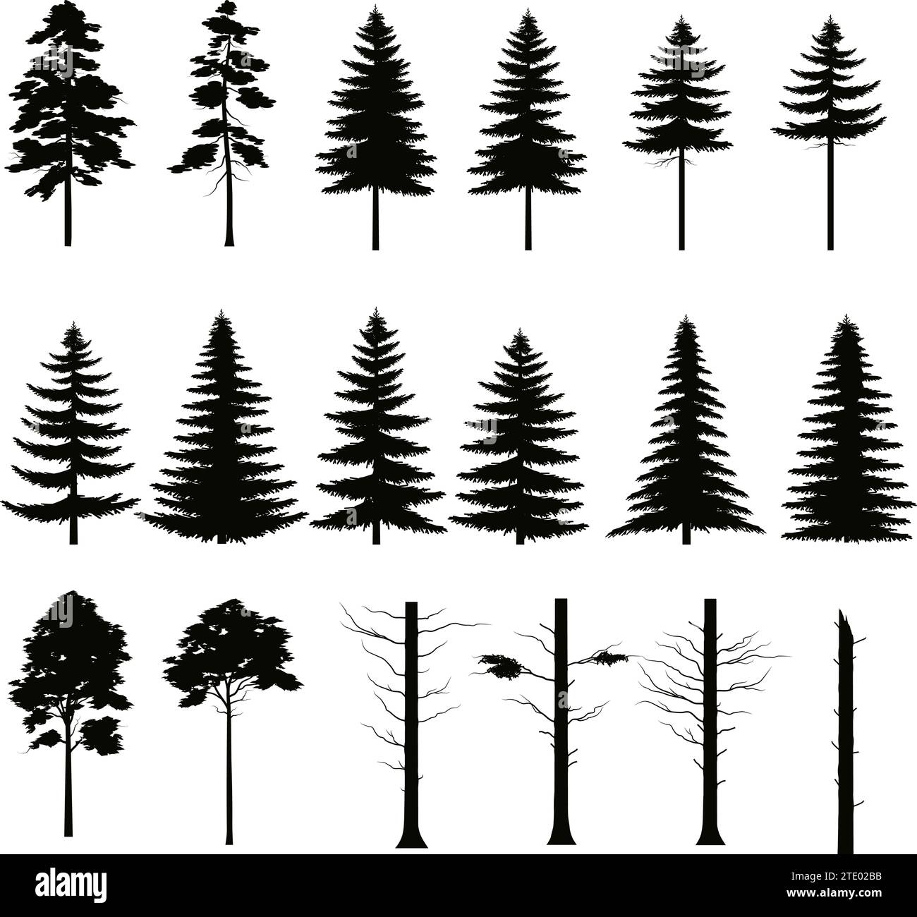 Silhouettes pine trees on Stock Vector Images - Alamy