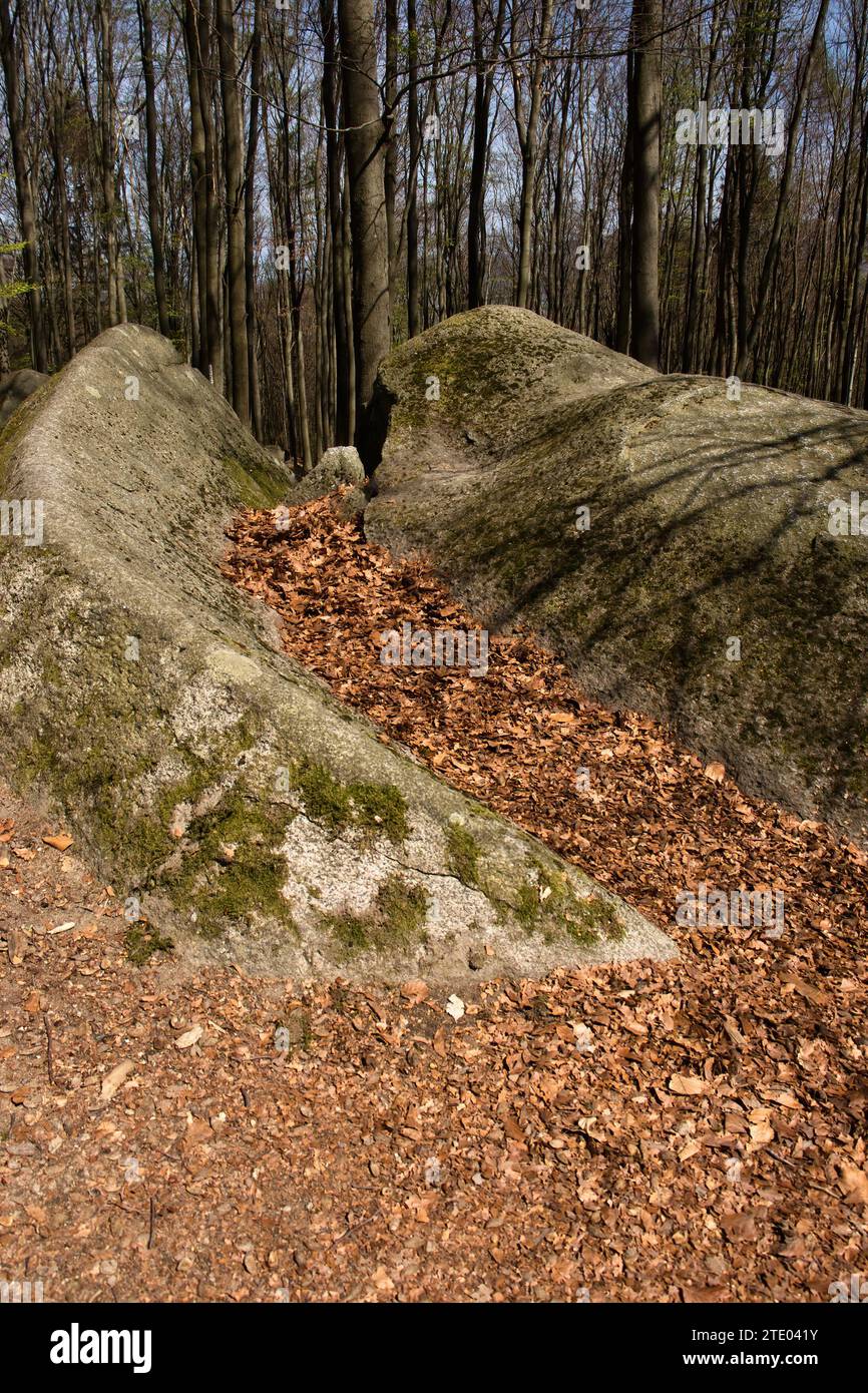 Odenwald felsenmeer hi-res stock photography and images - Alamy