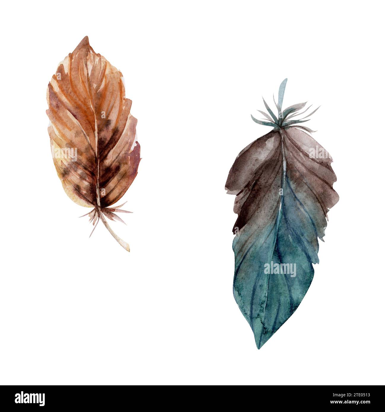 Hand drawn watercolor bird feather plume quill boho tribal ethnic ...