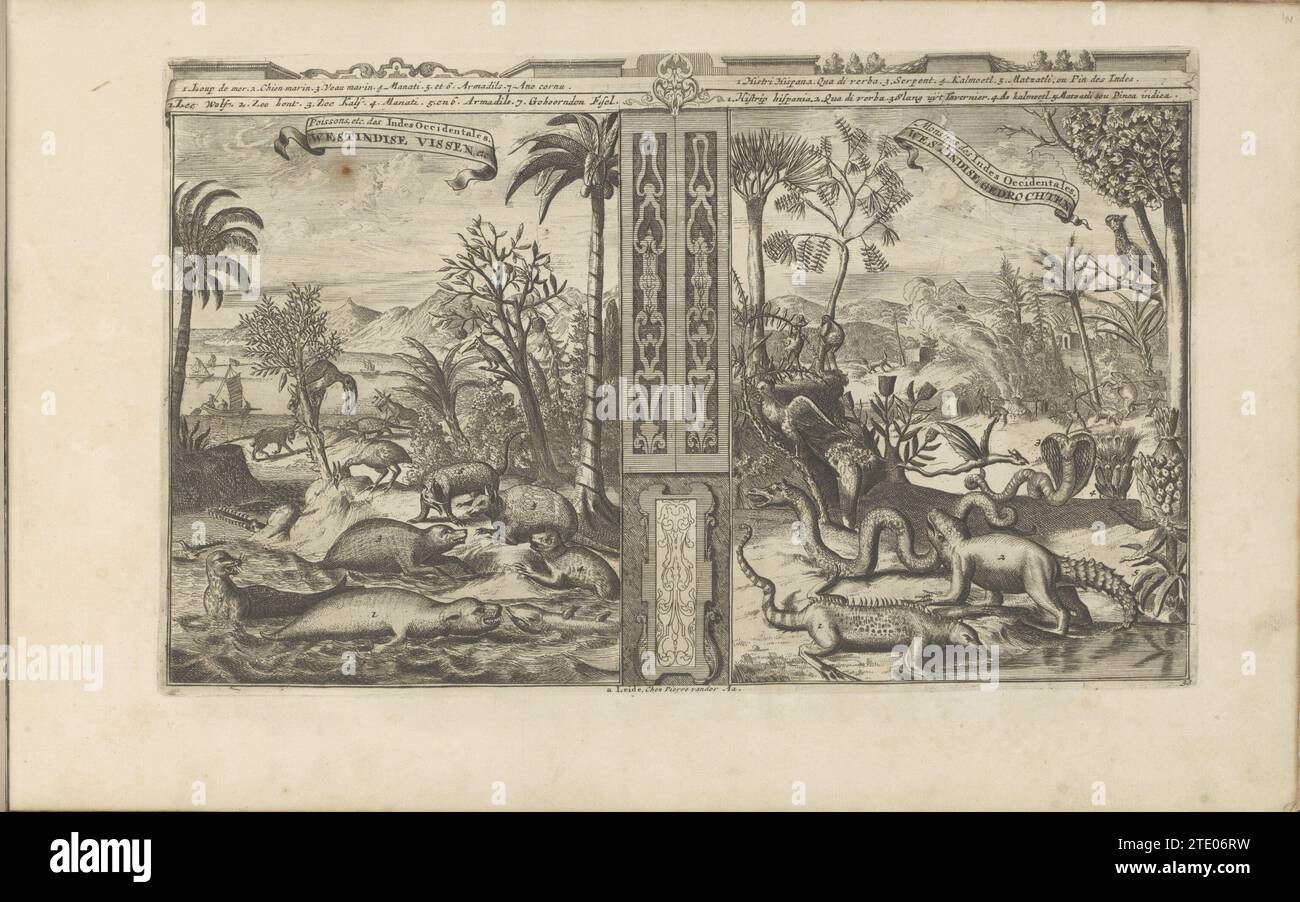 Animals from West Indies, 1682 - 1733 Presentation in two parts. Both ...