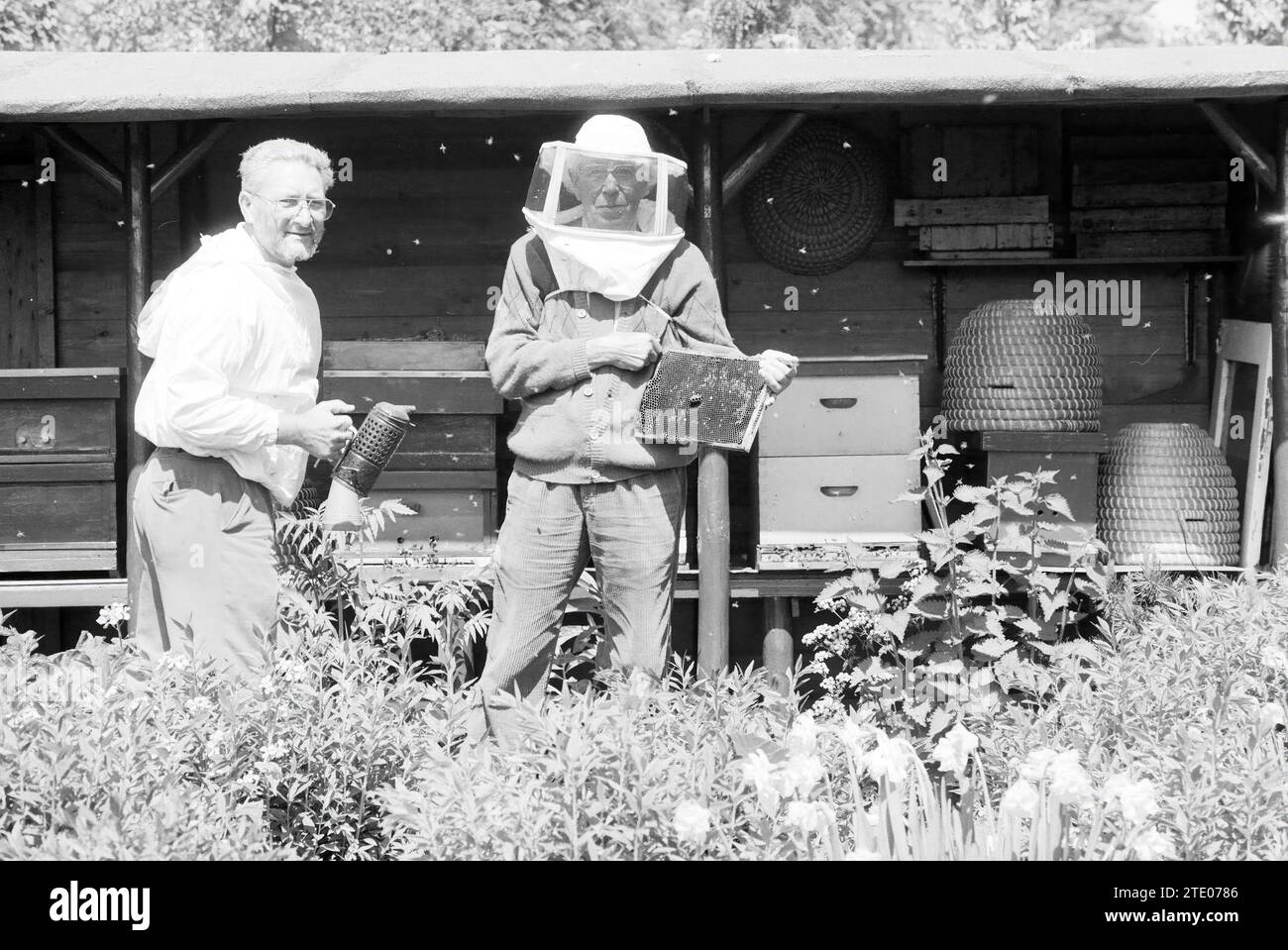 Beekeeper, urban [nursery] gardens, 22-05-1991, Whizgle News from the ...