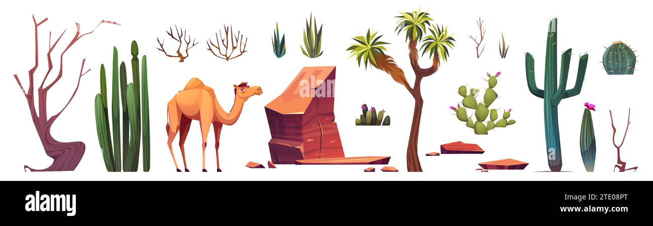 Arizona desert landscape creation elements with green cactus and dry ...