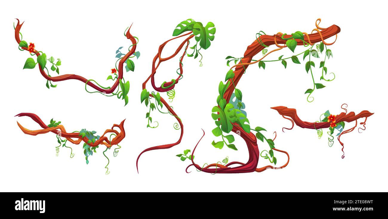 Liana twisted and tangled branch with green leaf and flowers. Game ...