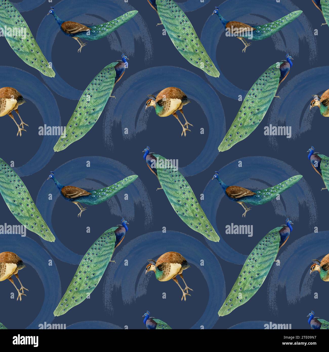 Peacocks and peahens birds with paint strokes seamless pattern on dark ...