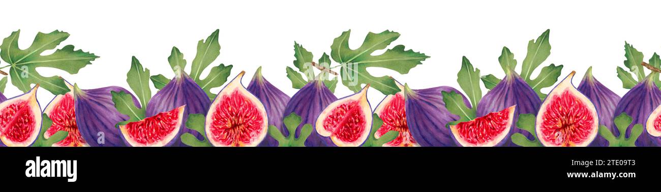 Fig border. Halves, wholes, pieces of purple figs with leaves. Fruit ...