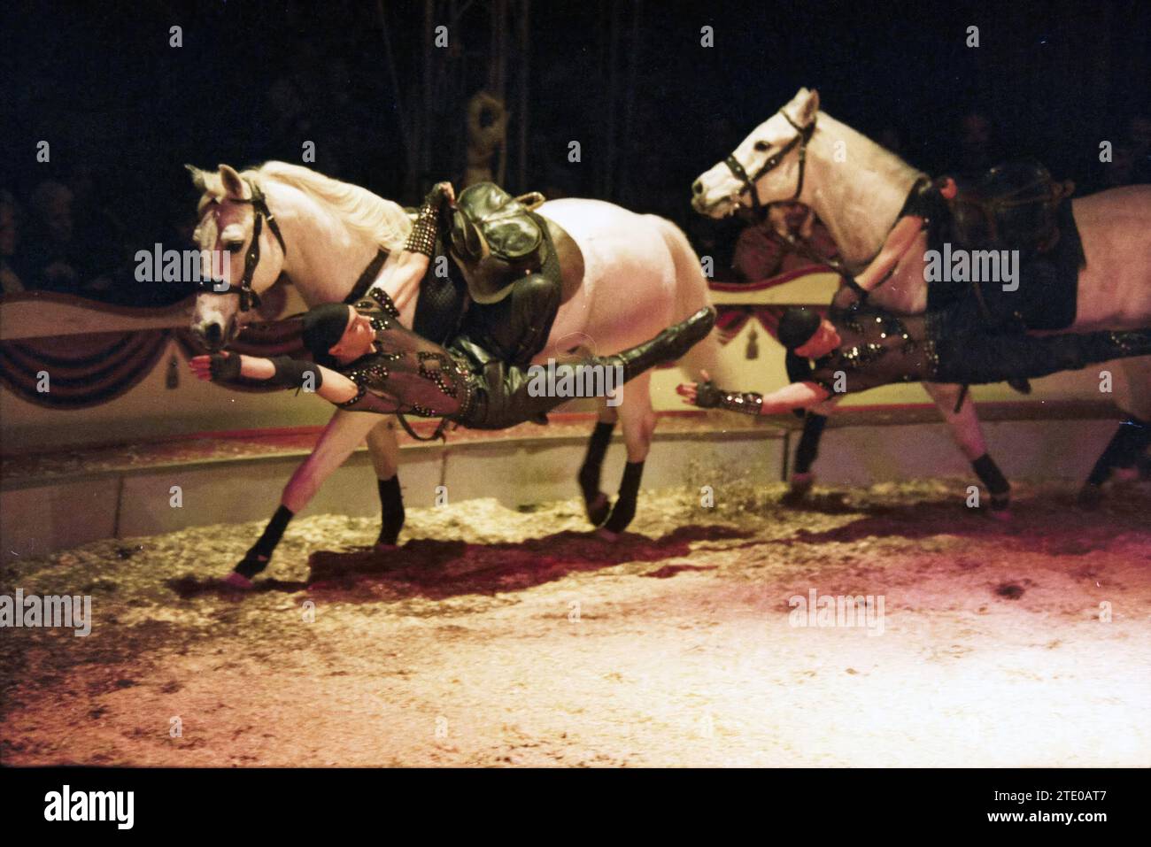 Circus Herman Renz, H'lem, Haarlem, The Netherlands, 17-12-1998 ...