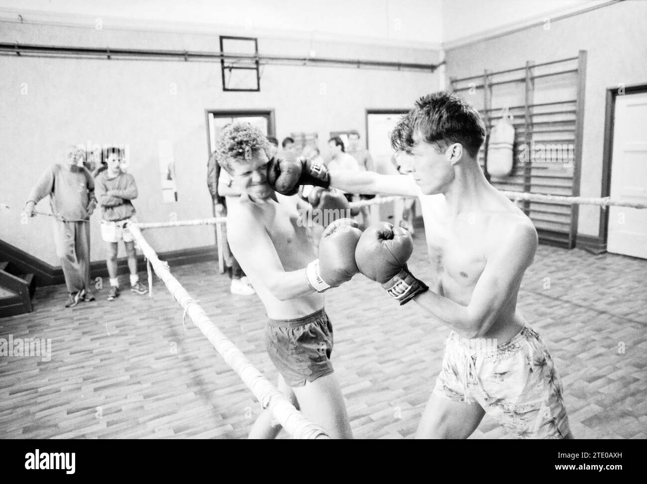 Boxing school brouwer hi-res stock photography and images - Alamy