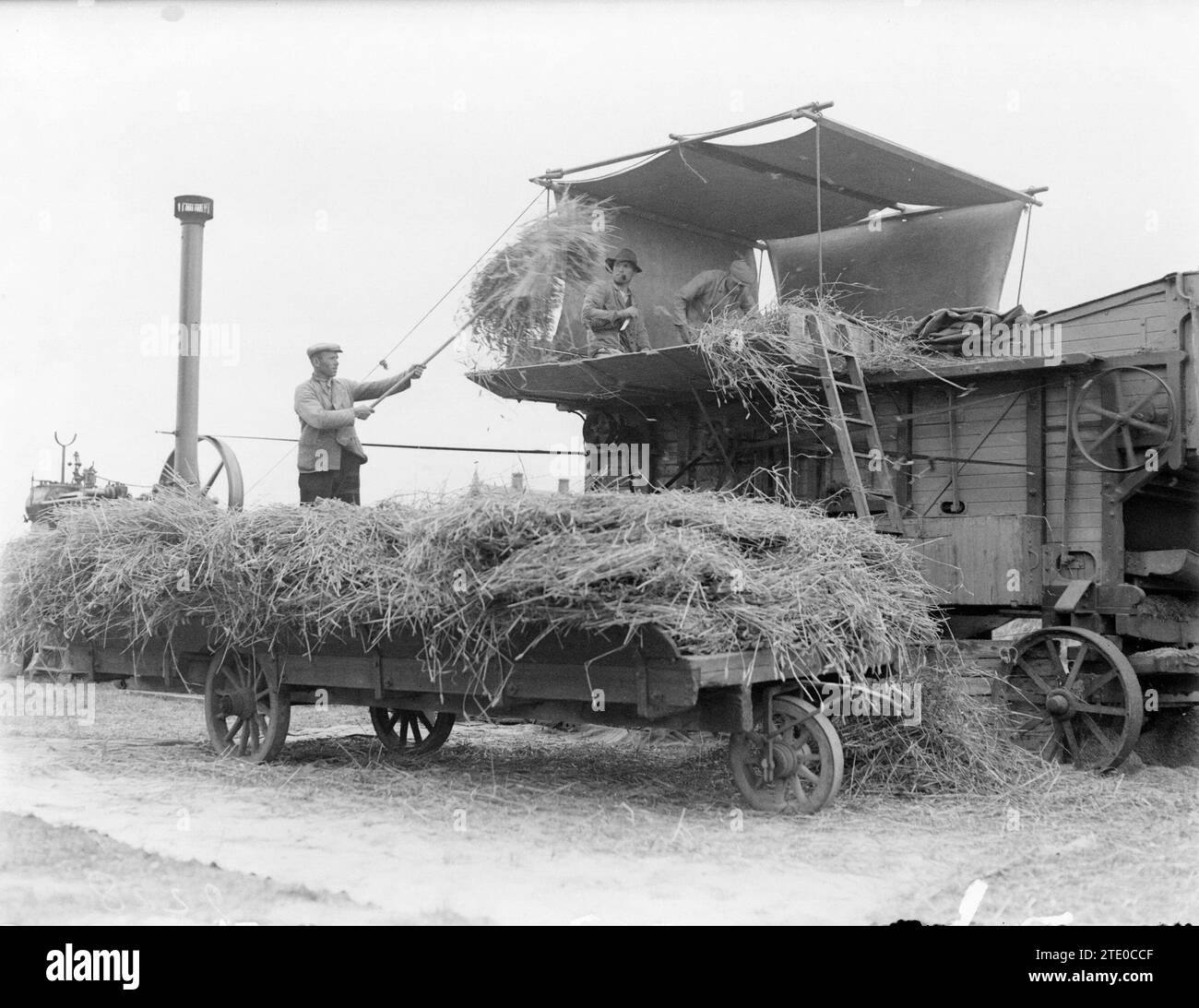 Farmers busy loading straw at a threshing machine powered by a steam ...