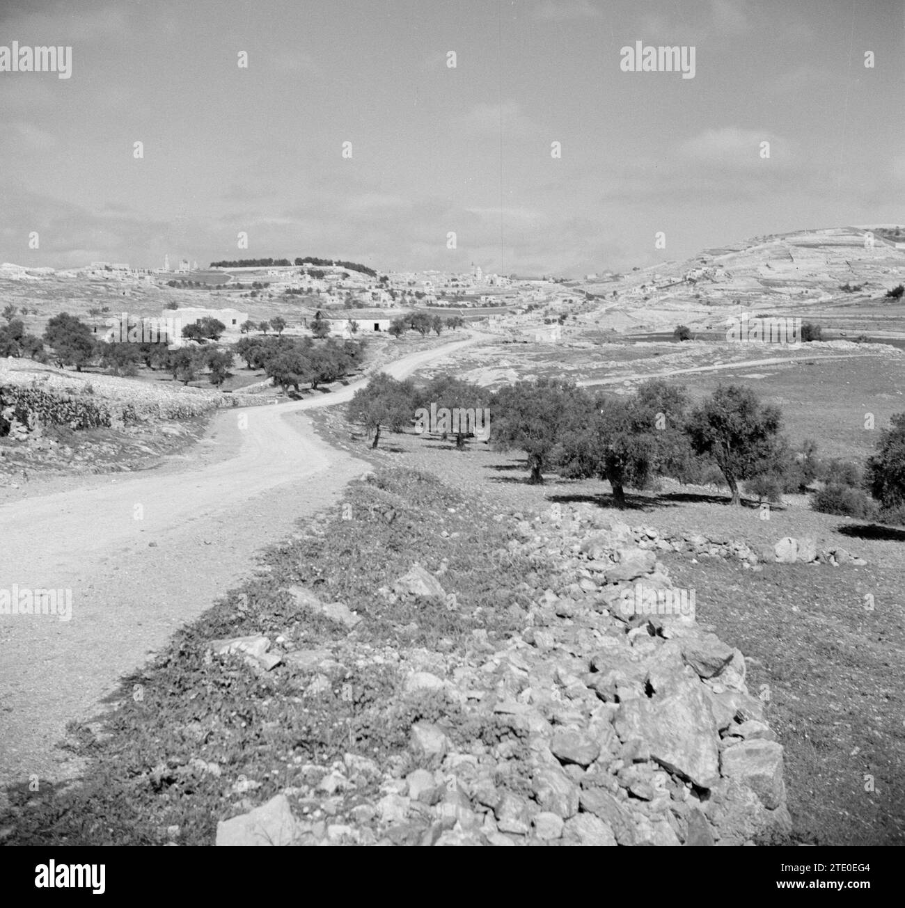 City horizon Black and White Stock Photos & Images - Alamy