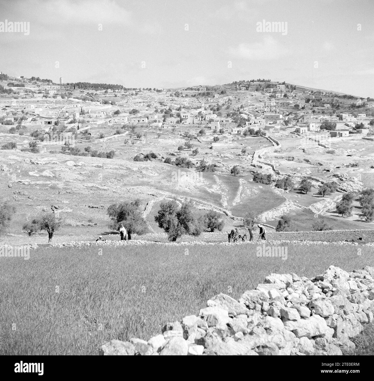 Bethany israel hi-res stock photography and images - Alamy