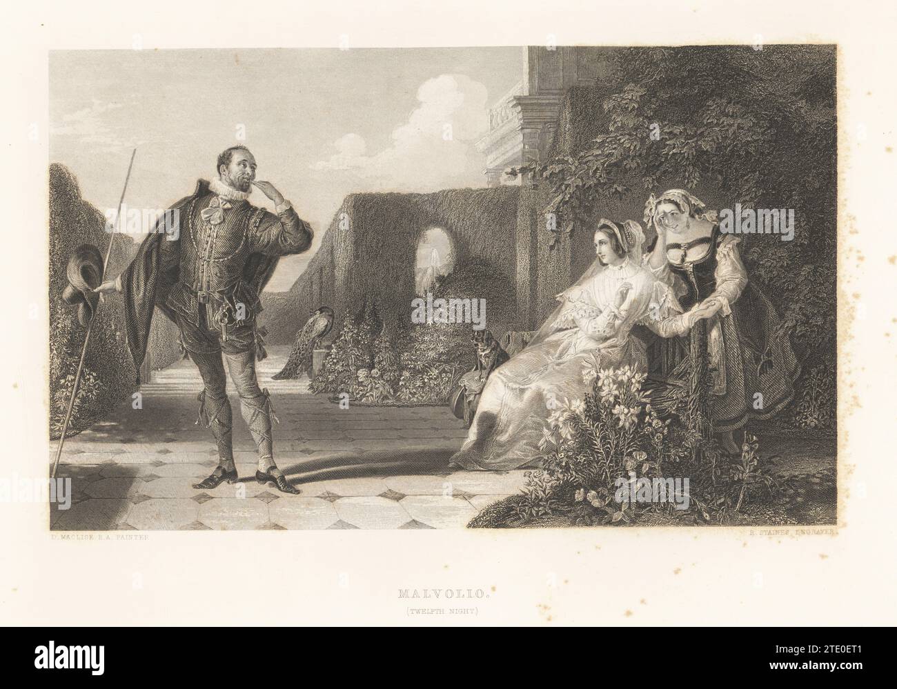 Malvolio and Countess Olivia in William Shakespeare's Twelfth Night ...