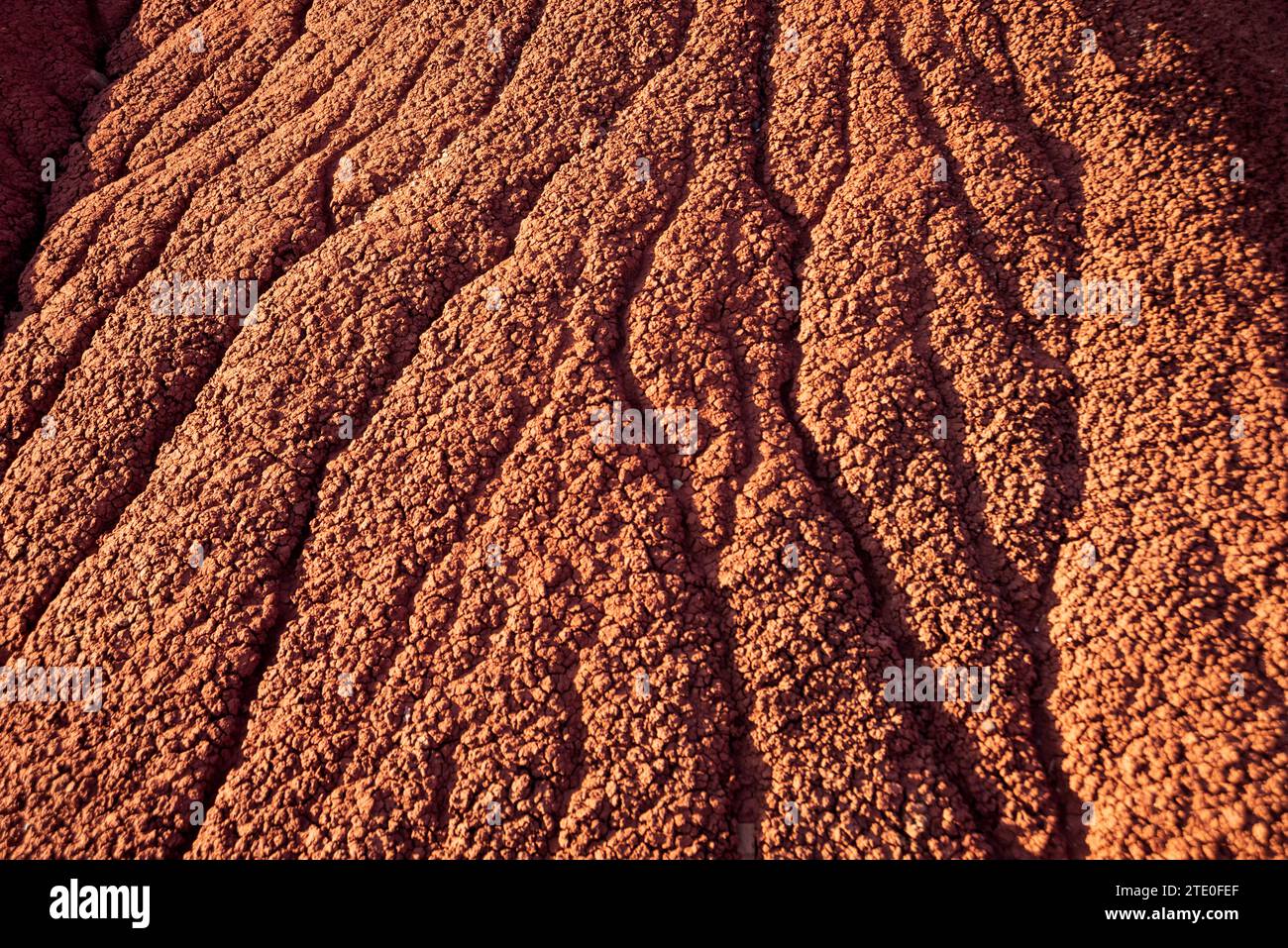 Up Close Texture of the Crimson Red Ground at the Painted Hills Unit of ...