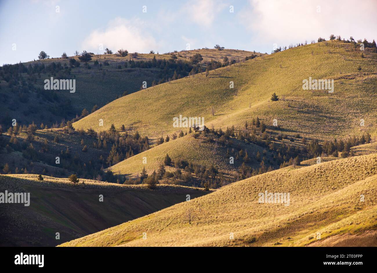 Paleontological history hi-res stock photography and images - Alamy