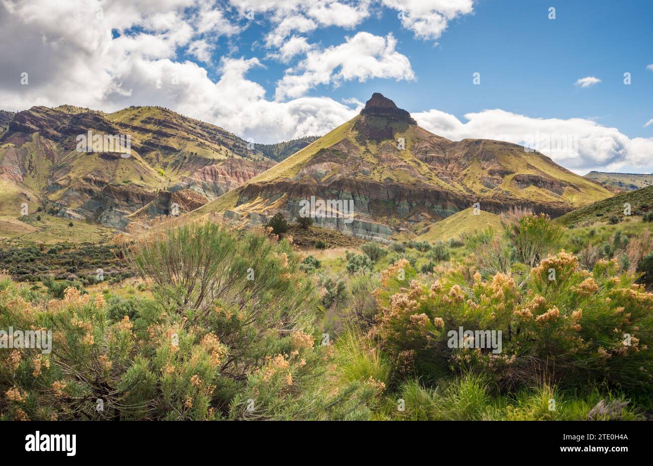 Sheep Rock Unit of John Day Fossil Beds National Monument Stock Photo ...