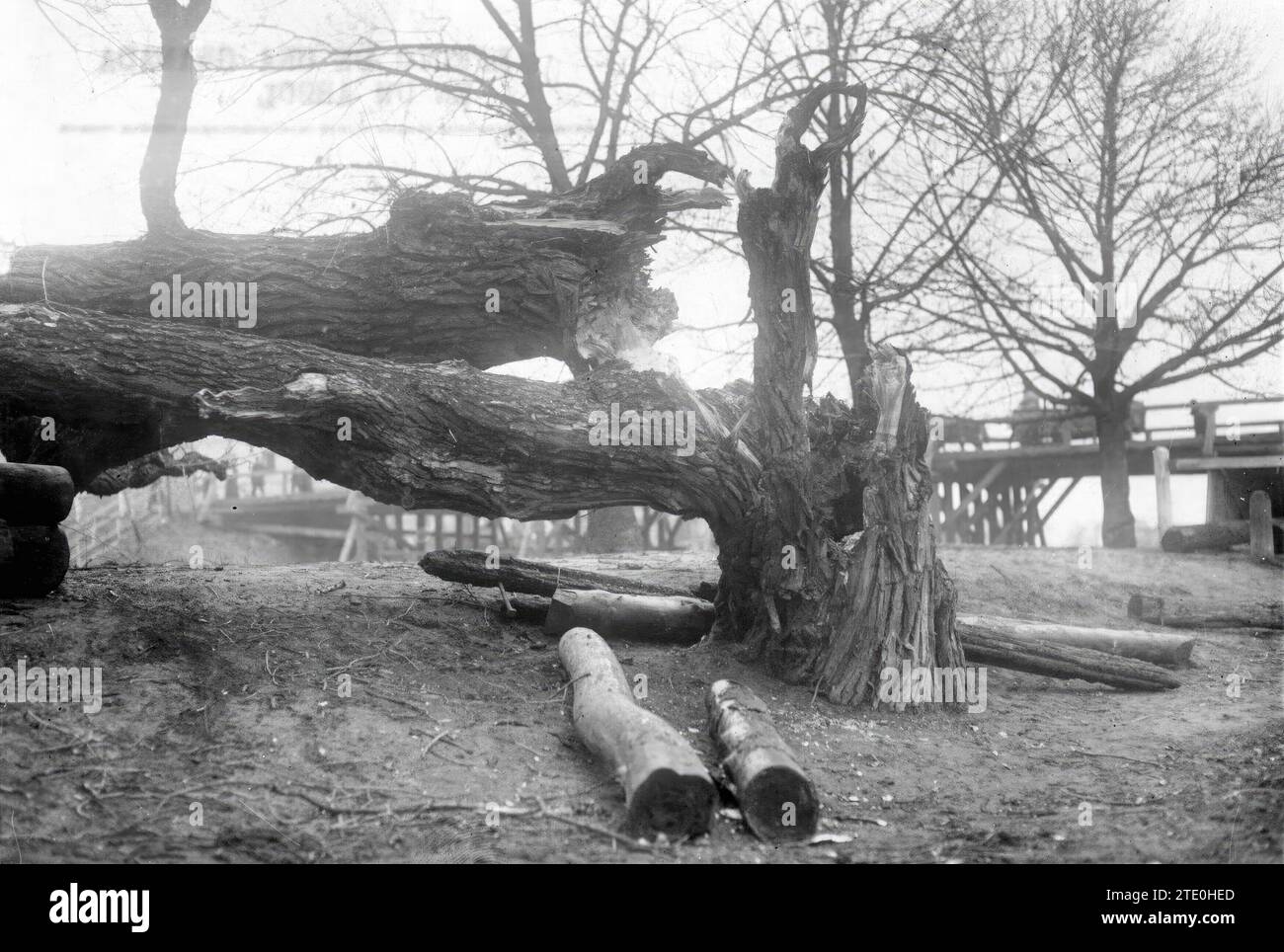 11/27/1915. The Destroys of War. Effect of a grenade explosion on a ...