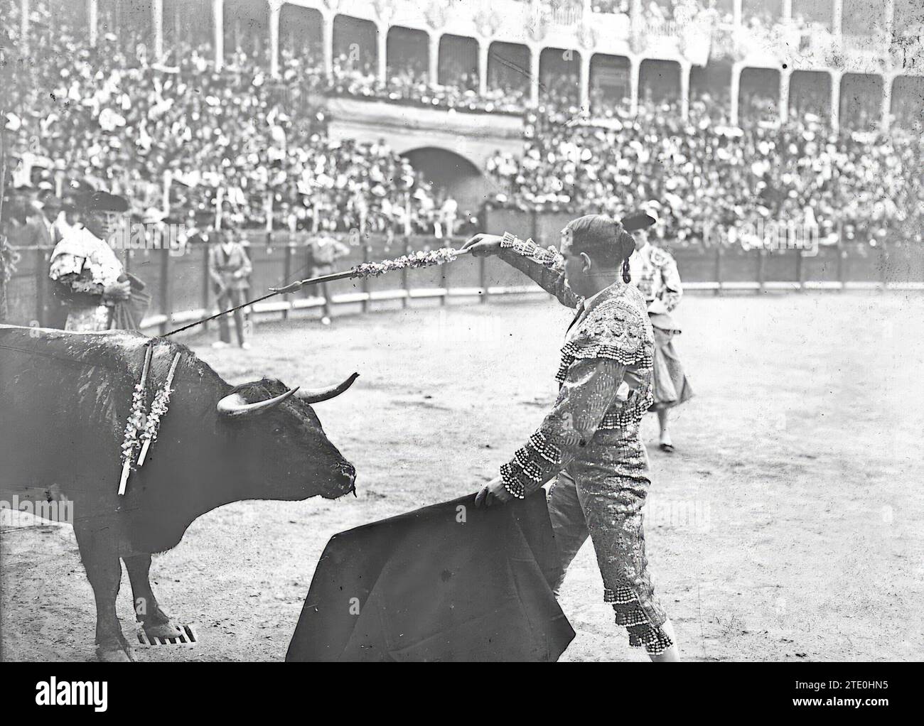 07/13/1913. Pamplona Square. July 13. Lizard Taking out the rapier of ...