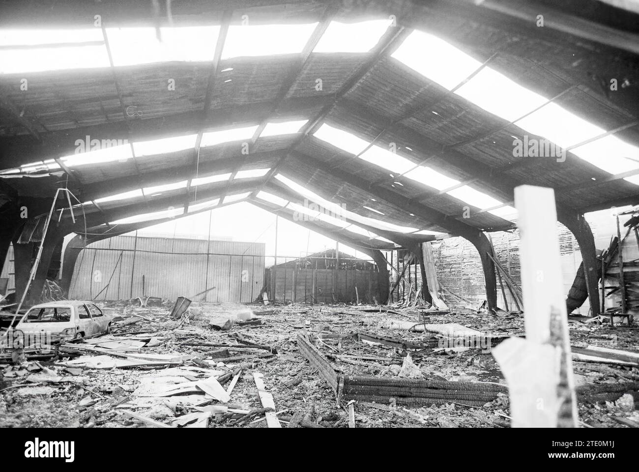 Remnant fenenga hout hi-res stock photography and images - Alamy