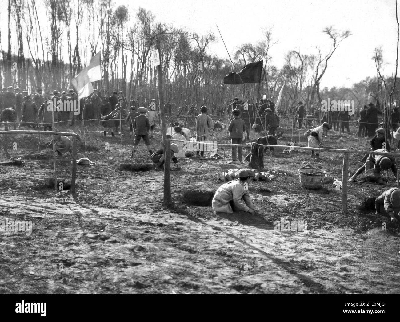 Municipal planting Black and White Stock Photos & Images - Alamy