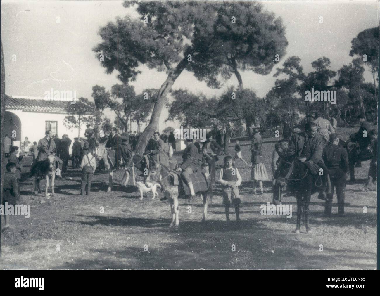 12/31/1957. People riding donkeys in Fuentepiña, Moguer (Huelva ...