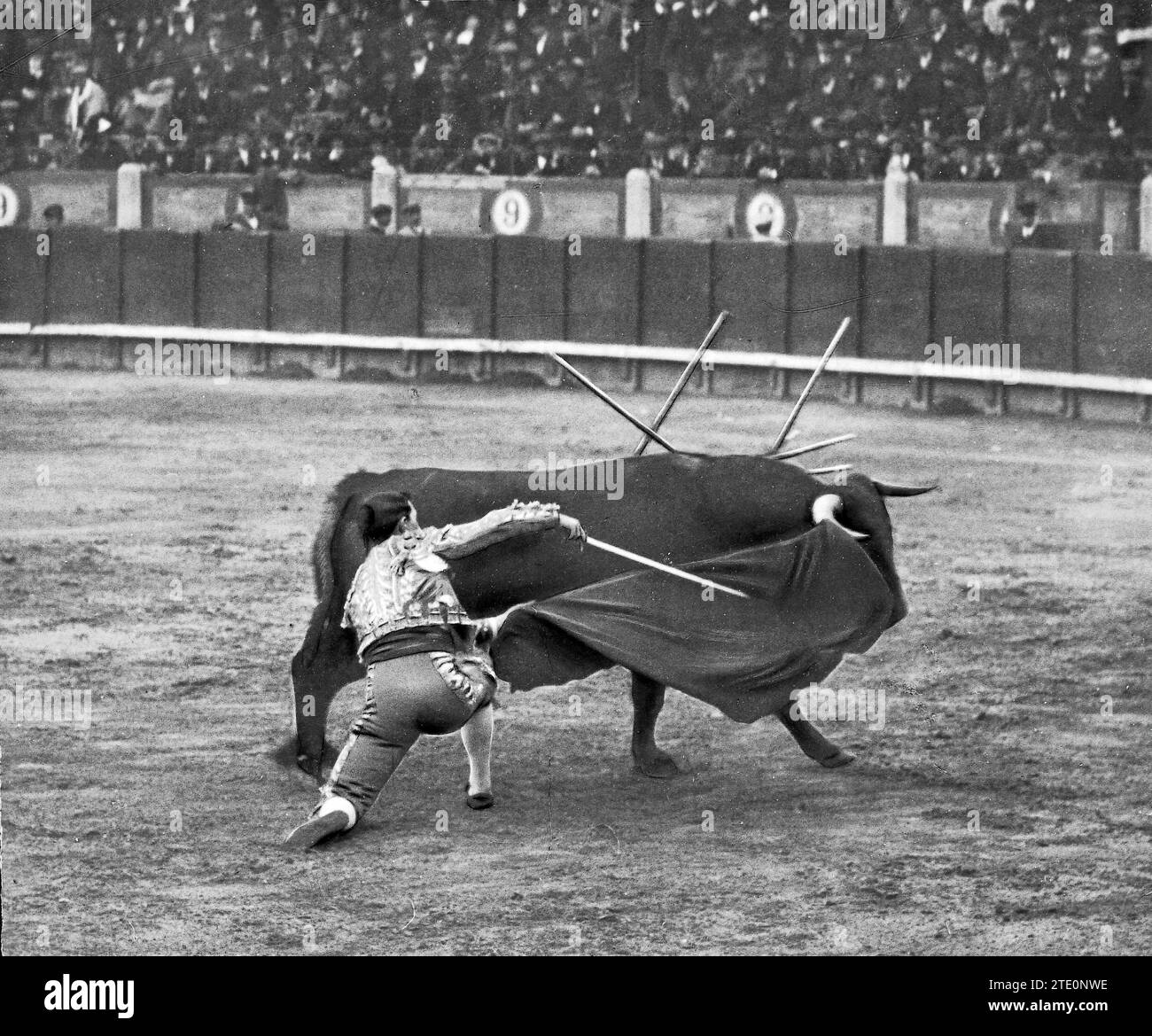 First bullfighting Black and White Stock Photos & Images - Alamy
