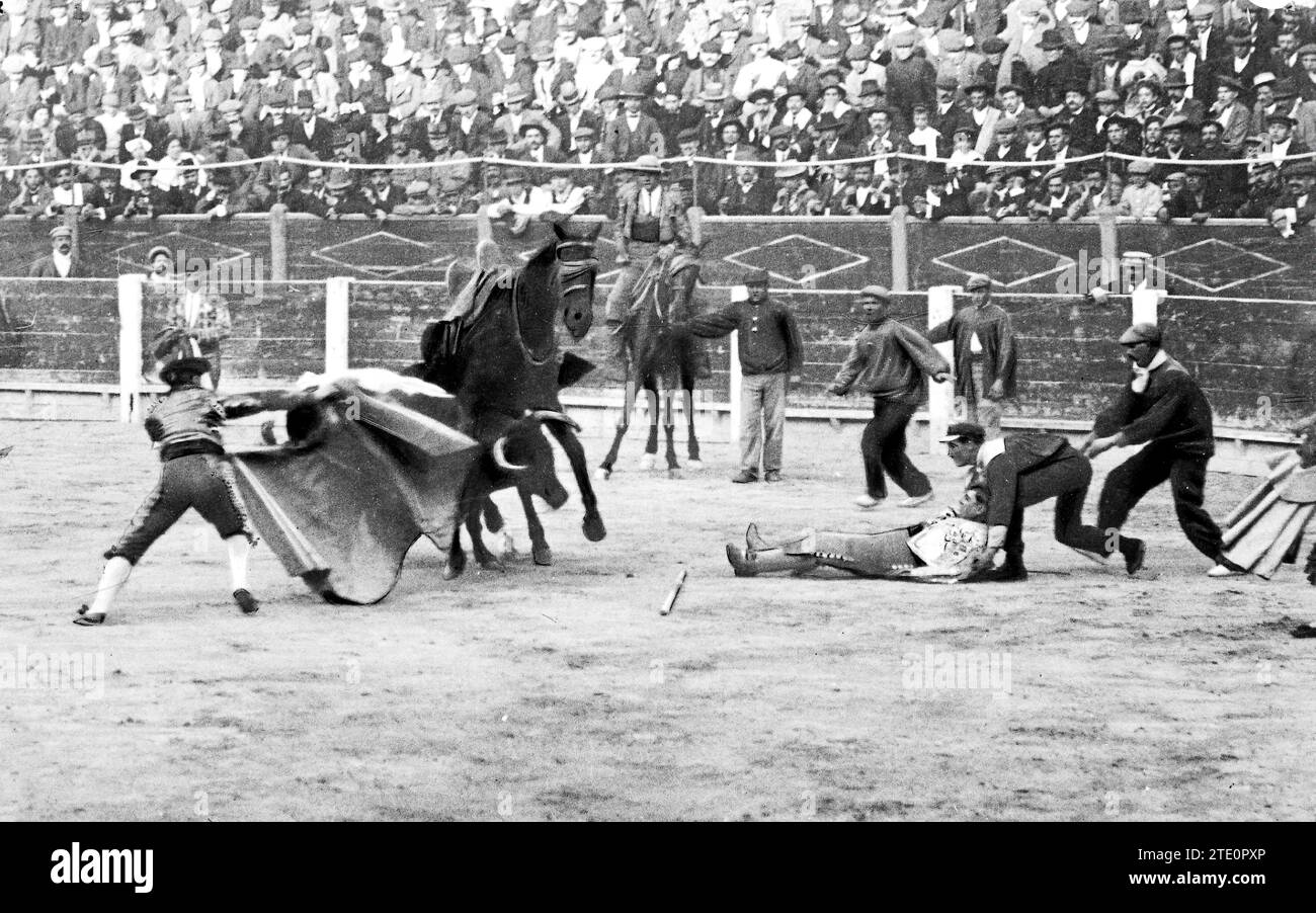 Royal bull fight Black and White Stock Photos & Images - Alamy