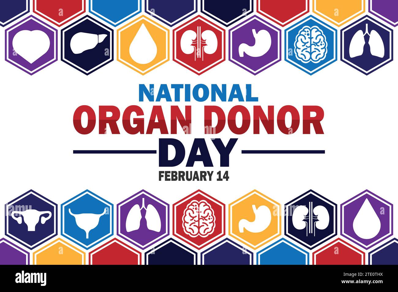 National Organ Donor Day. February 14. Holiday concept. Template for ...