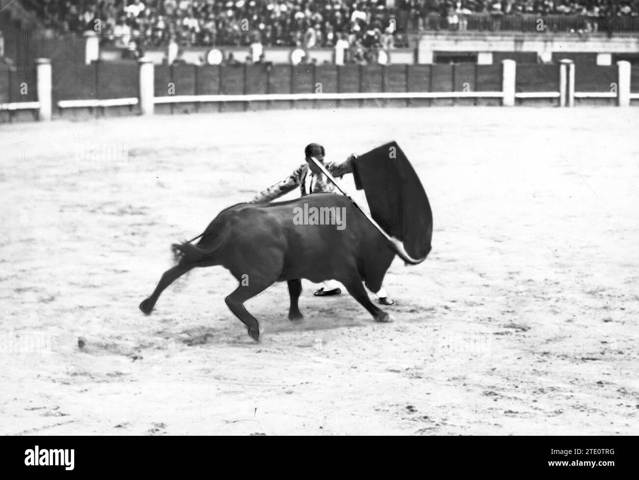 Luis freg hi-res stock photography and images - Alamy