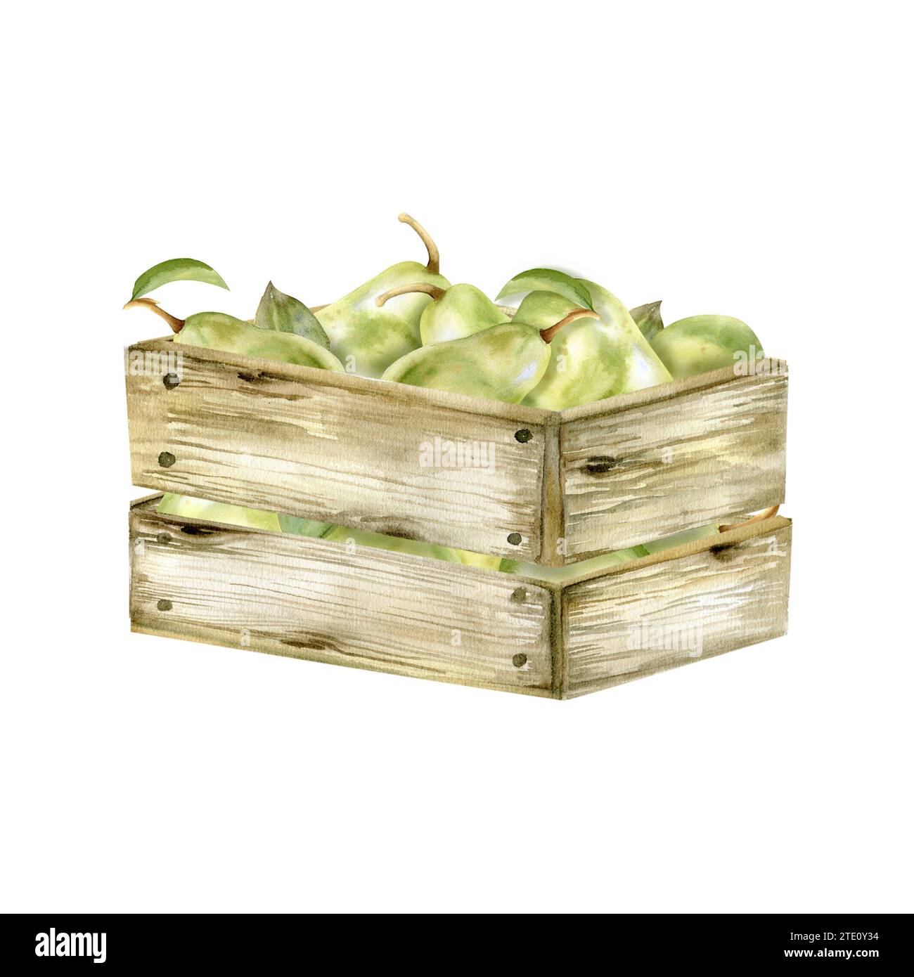 Pear packing hi-res stock photography and images - Alamy