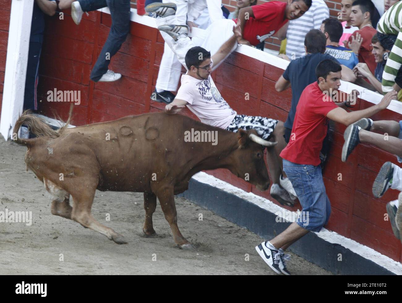 Bull goring hi-res stock photography and images - Alamy