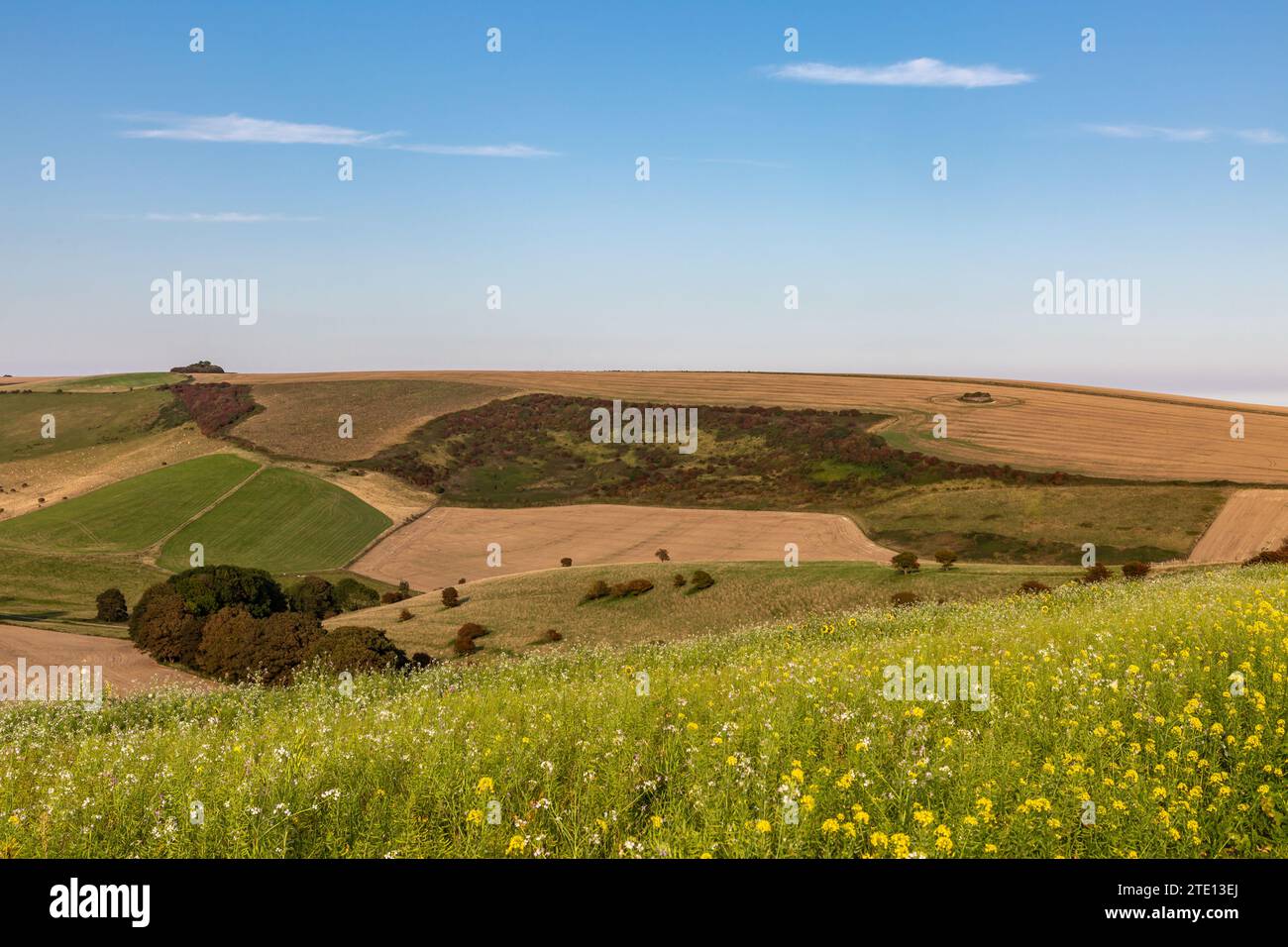 Woodingdean hi-res stock photography and images - Alamy