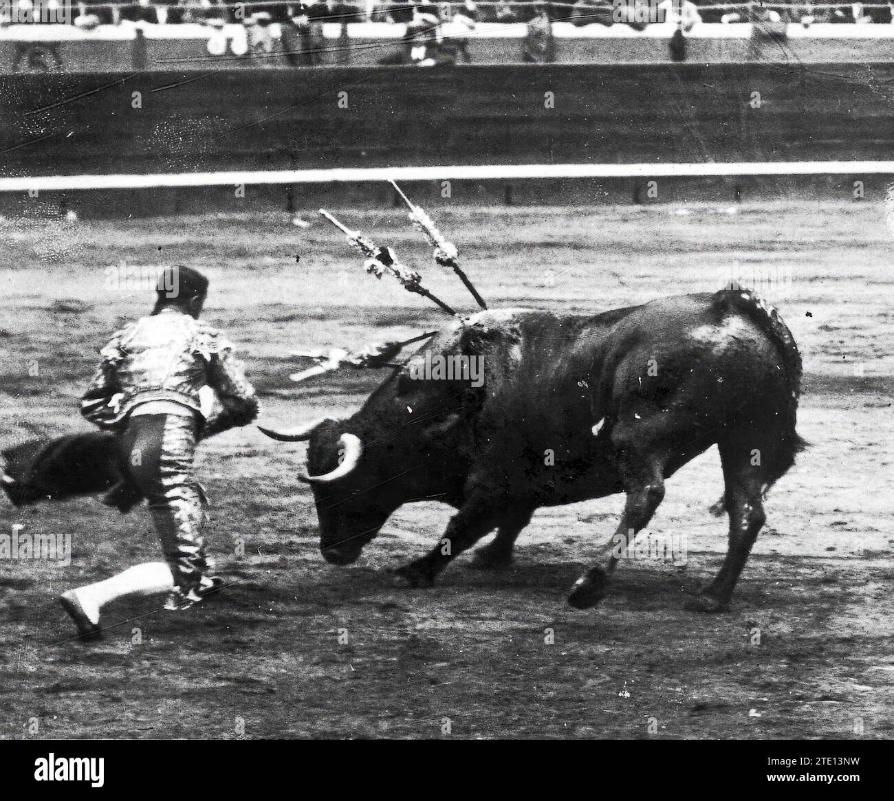 1913 from the album hi-res stock photography and images - Alamy