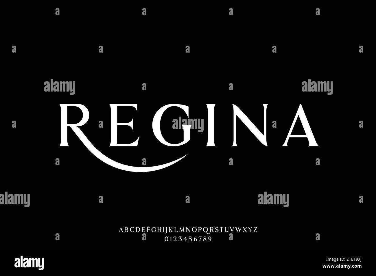 Elegant luxury serif alphabet display font vector with swoosh letter ...