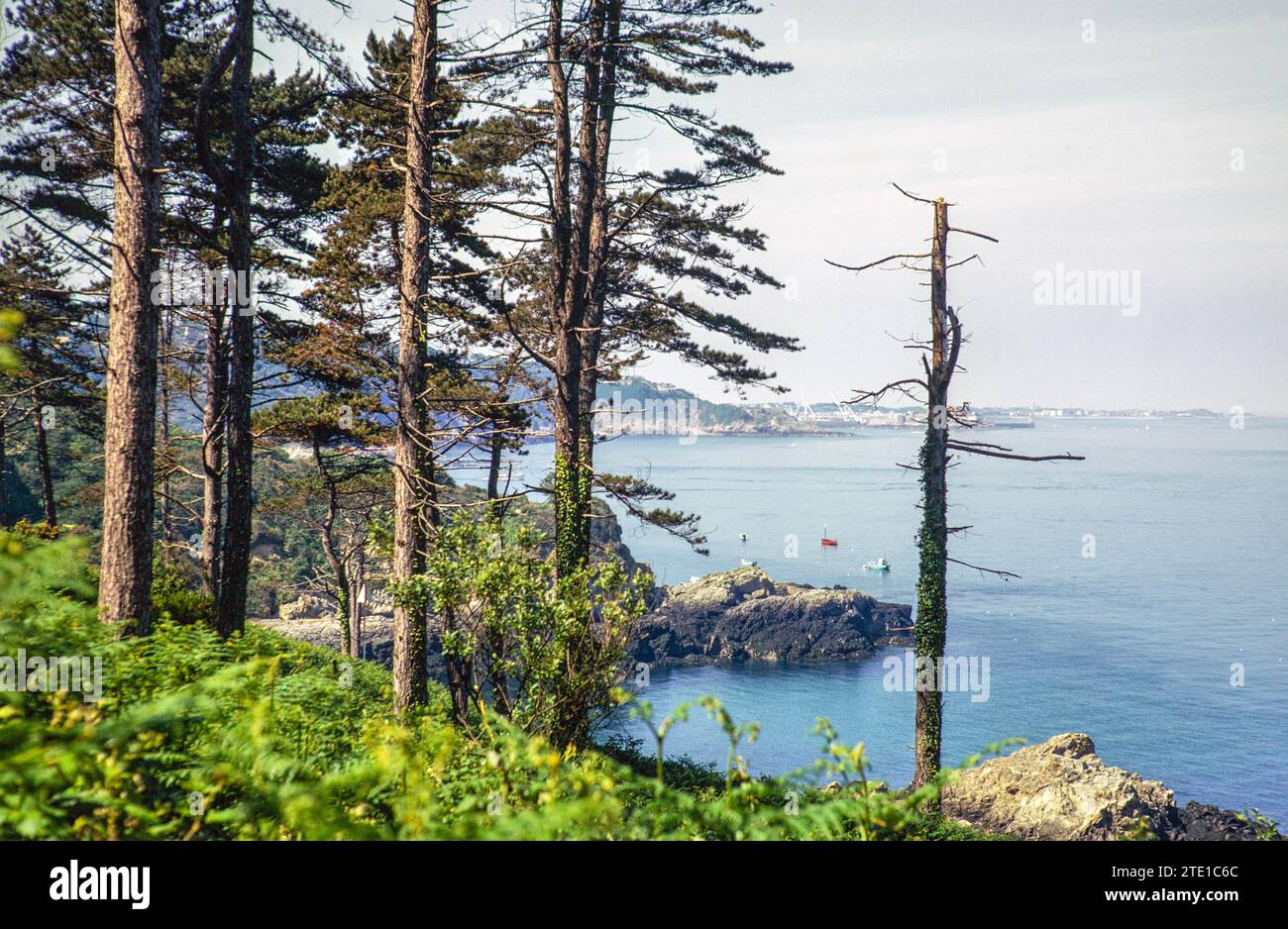 1960s guernsey hi-res stock photography and images - Alamy