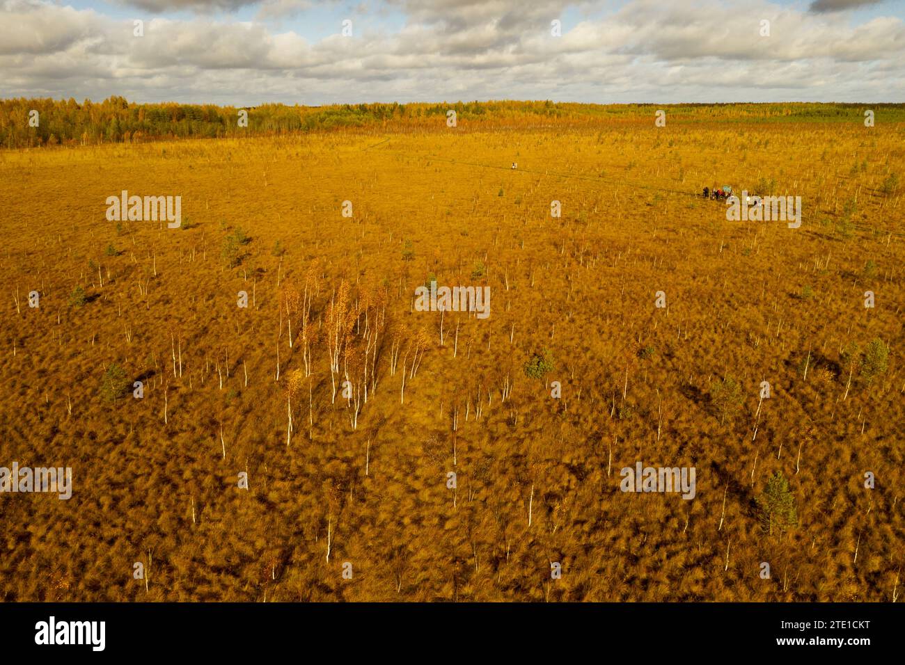 Old field ecosystems hi-res stock photography and images - Alamy