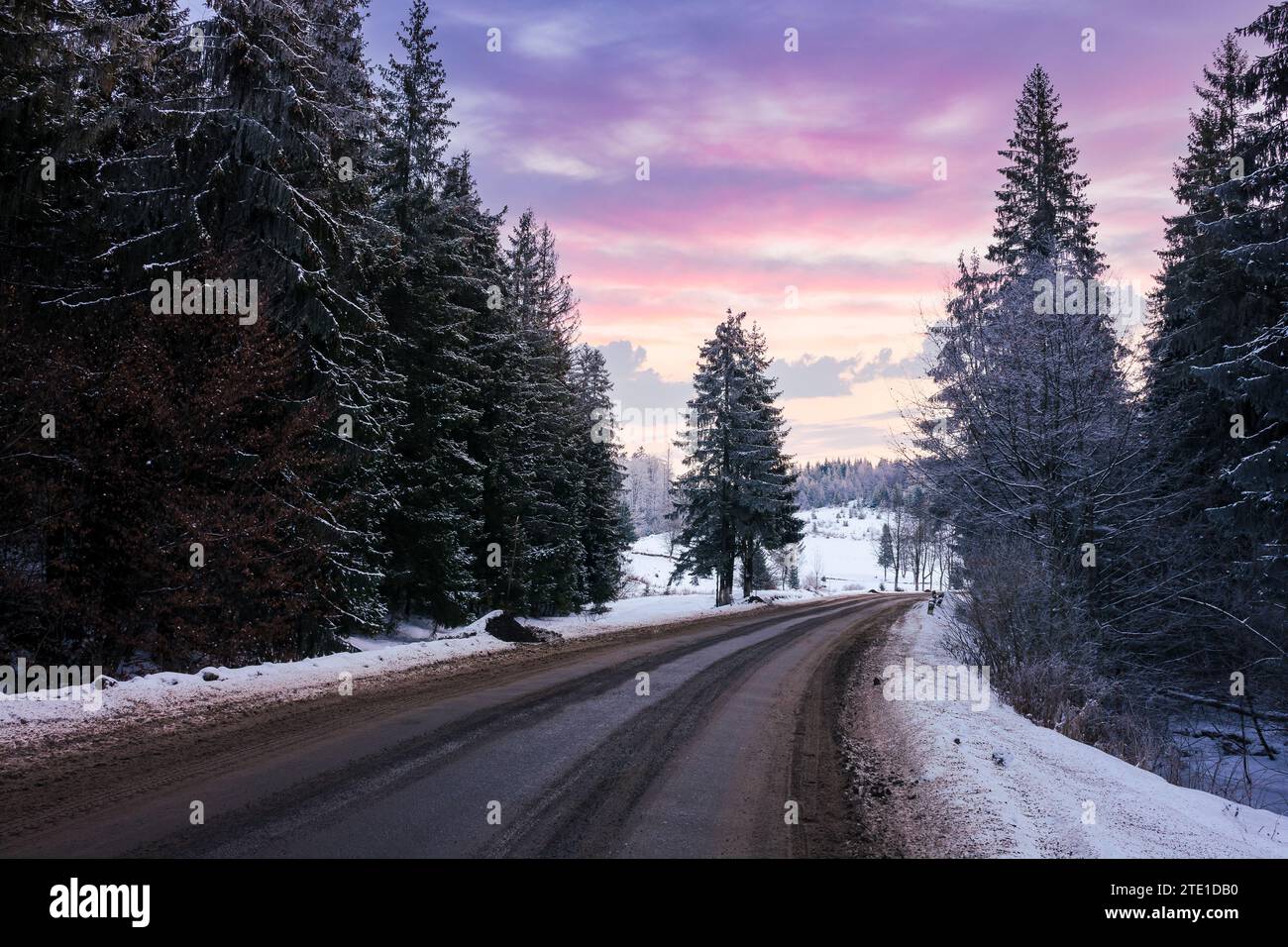 asphalt road through forested countryside in winter at sunset. trees ...