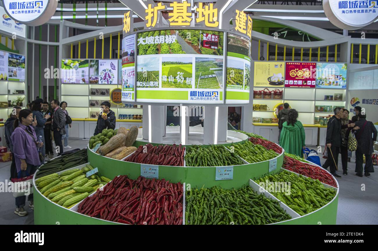 People visit the 26th China (Hainan) International Winter Trade Fair ...