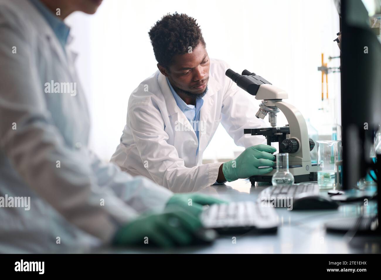 Male Laboratory Technician Preparing Samples for Microscope Examination ...