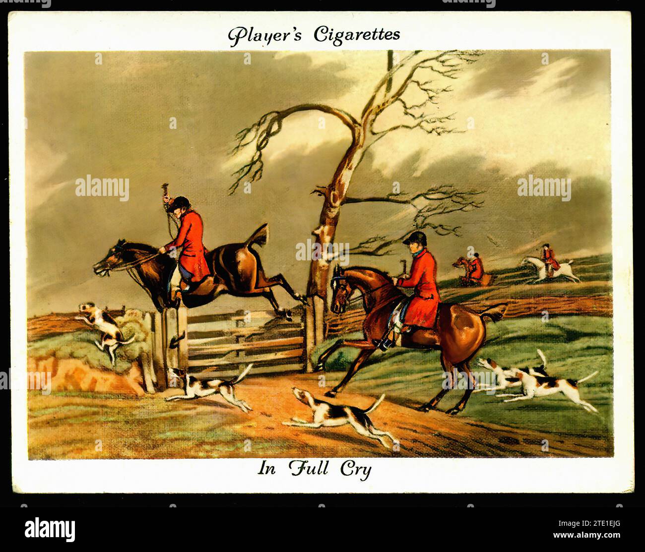 Hunting Print, In Full Cry - Vintage Cigarette Card Illustration Stock ...