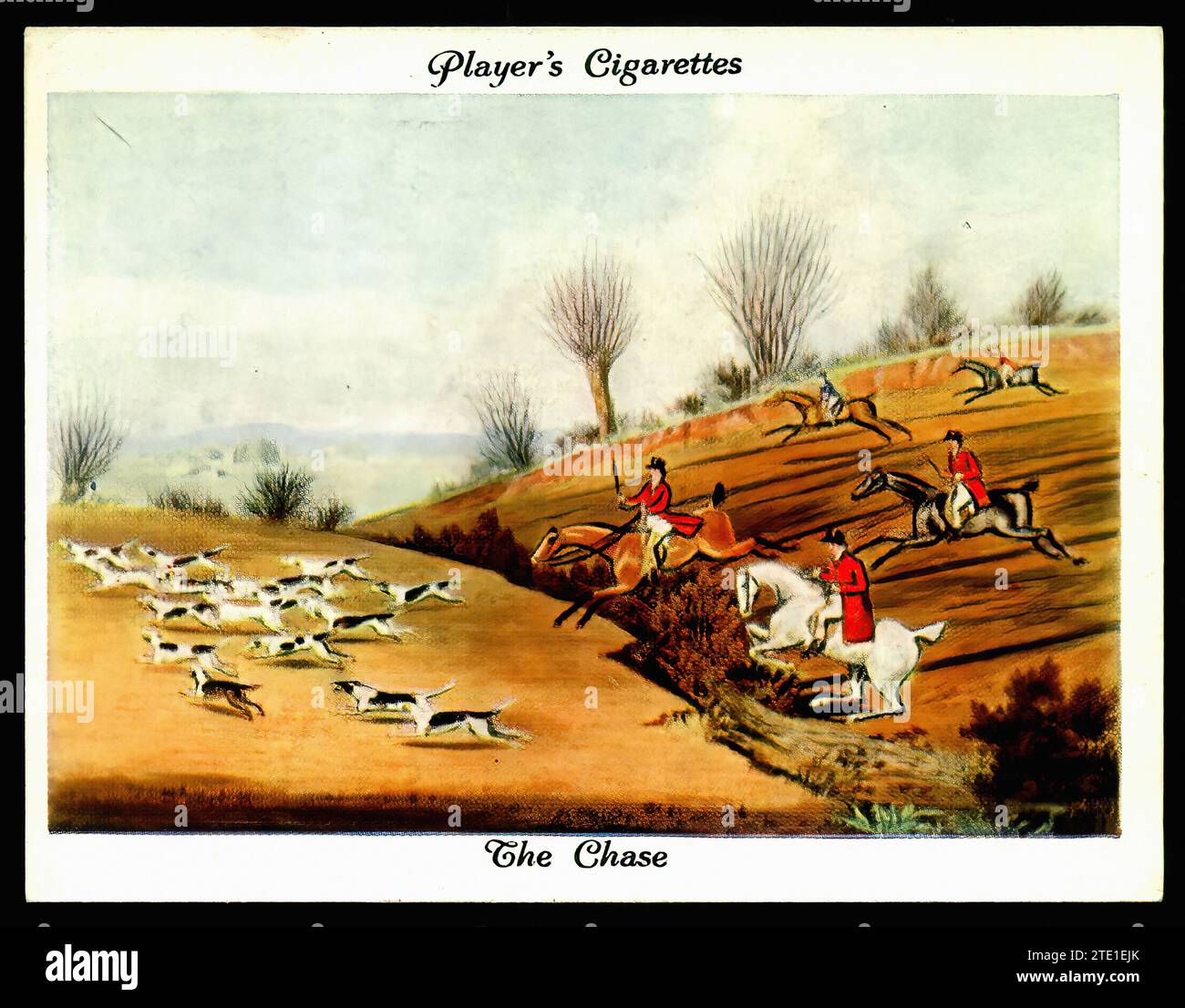 Hunting Print, The Chase - Vintage Cigarette Card Illustration Stock ...