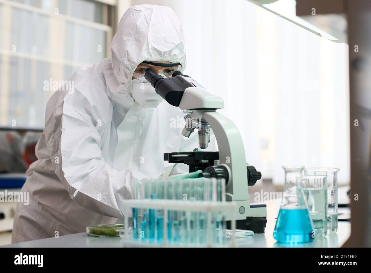 Laboratory Worker Looking Through Microscope Performing Test Stock ...