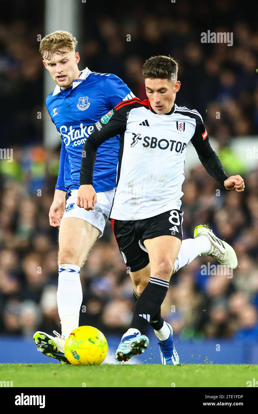 Liverpool, UK. 19th Dec, 2023. Harry Wilson of Fulham on the ball during the Everton FC v Fulham ...