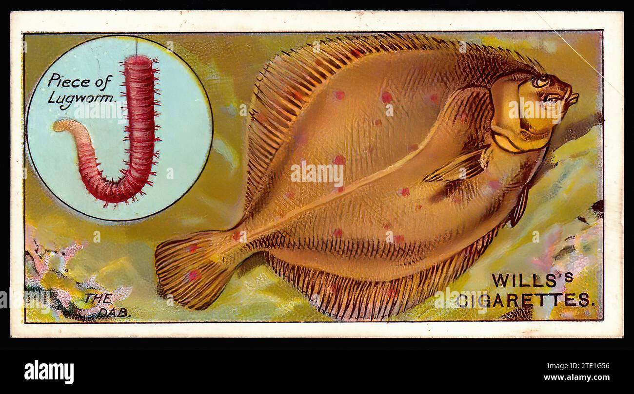 Dab design hi-res stock photography and images - Alamy