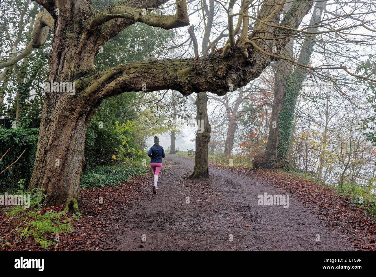 Lone female runner on the footpath by the River Thames on a foggy ...