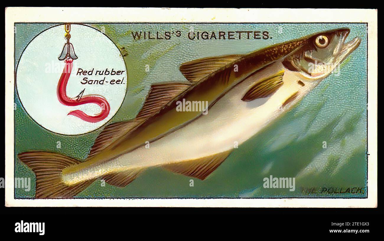 Pollack design hi-res stock photography and images - Alamy