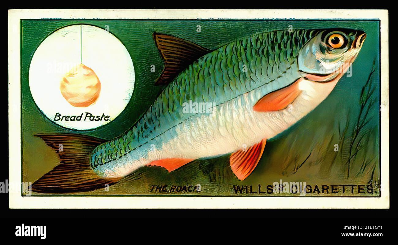 The Roach - Vintage Cigarette Card Illustration Stock Photo - Alamy
