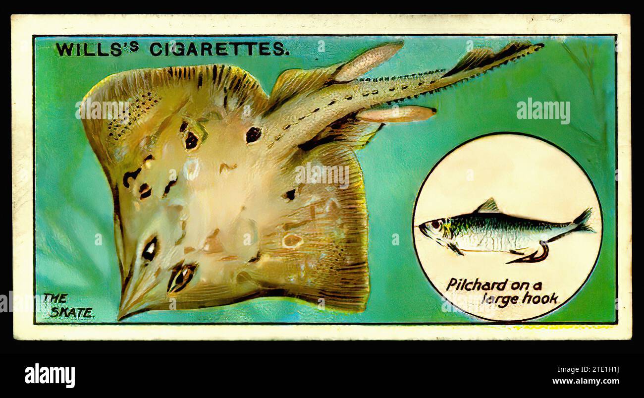 The Skate - Vintage Cigarette Card Illustration Stock Photo - Alamy